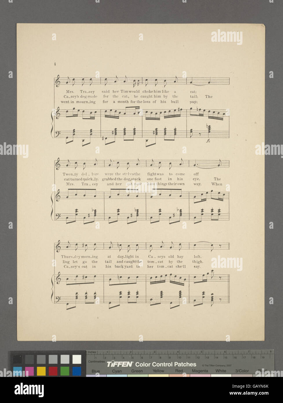 'Casey's Dog and Tacey's Cat' seems to tell a story of two pets owned ...