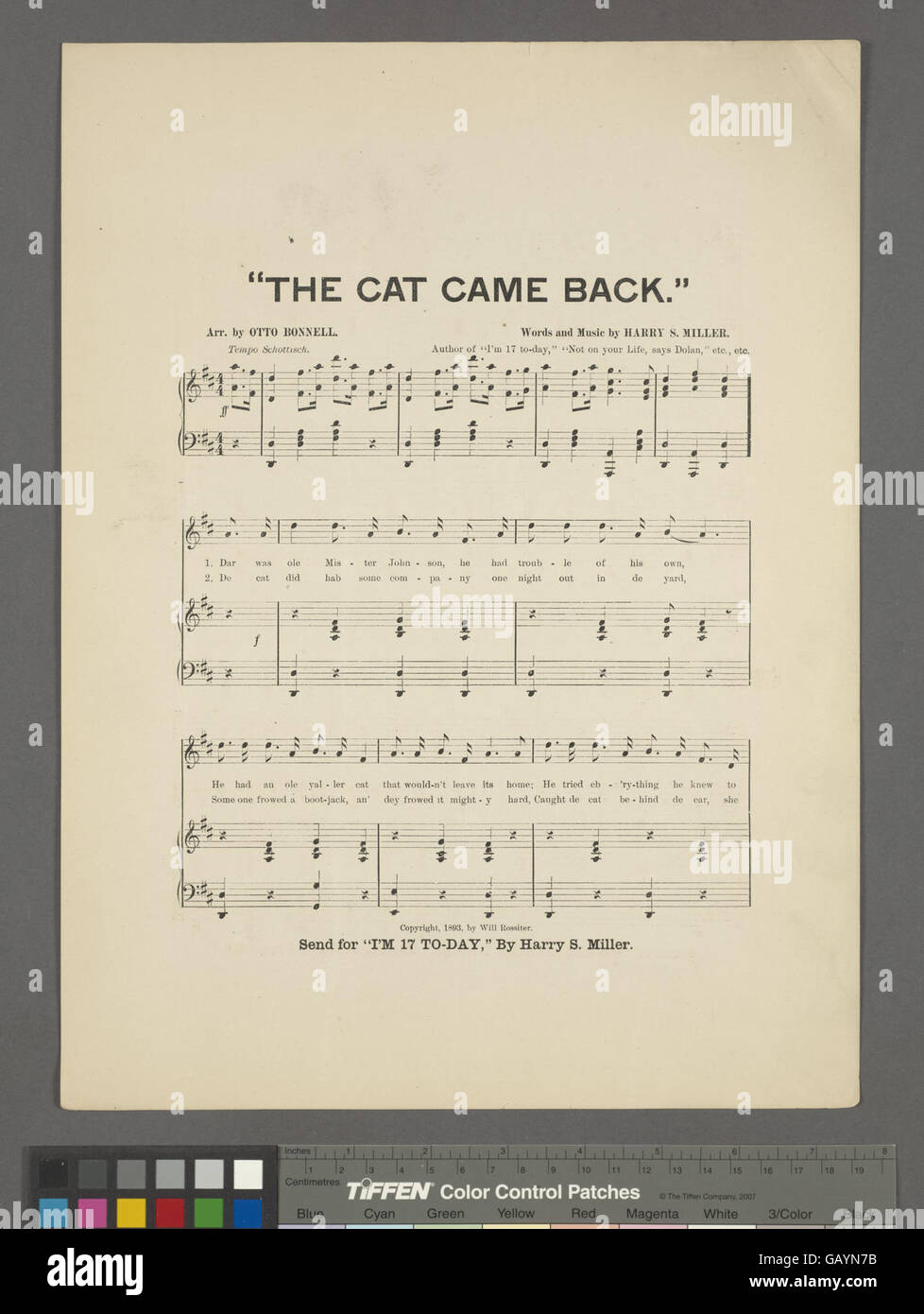 An illustration titled 'The Cat Came Back', associated with Hades ...