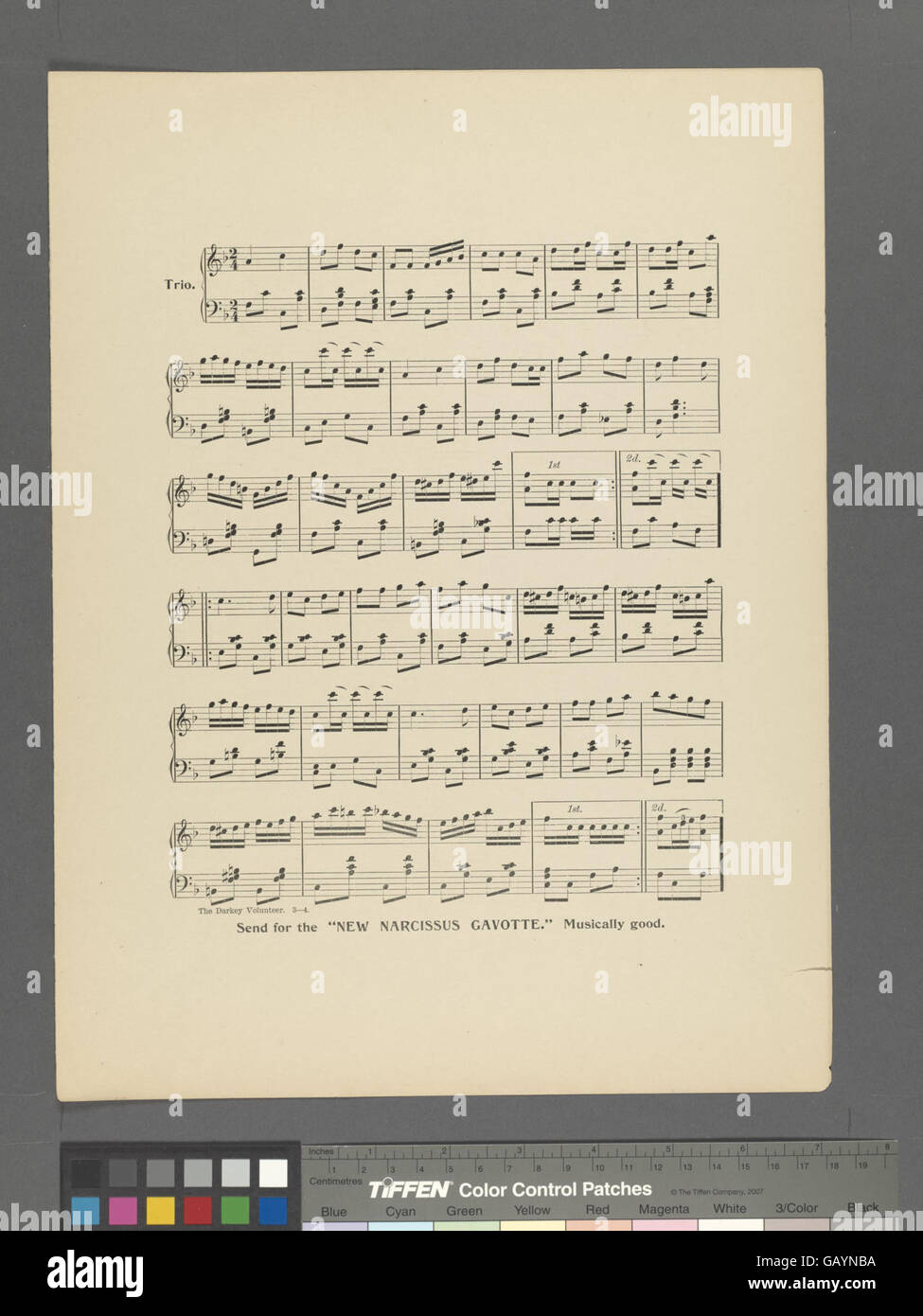 This historical image represents a volunteer identified as 'The Darkey ...