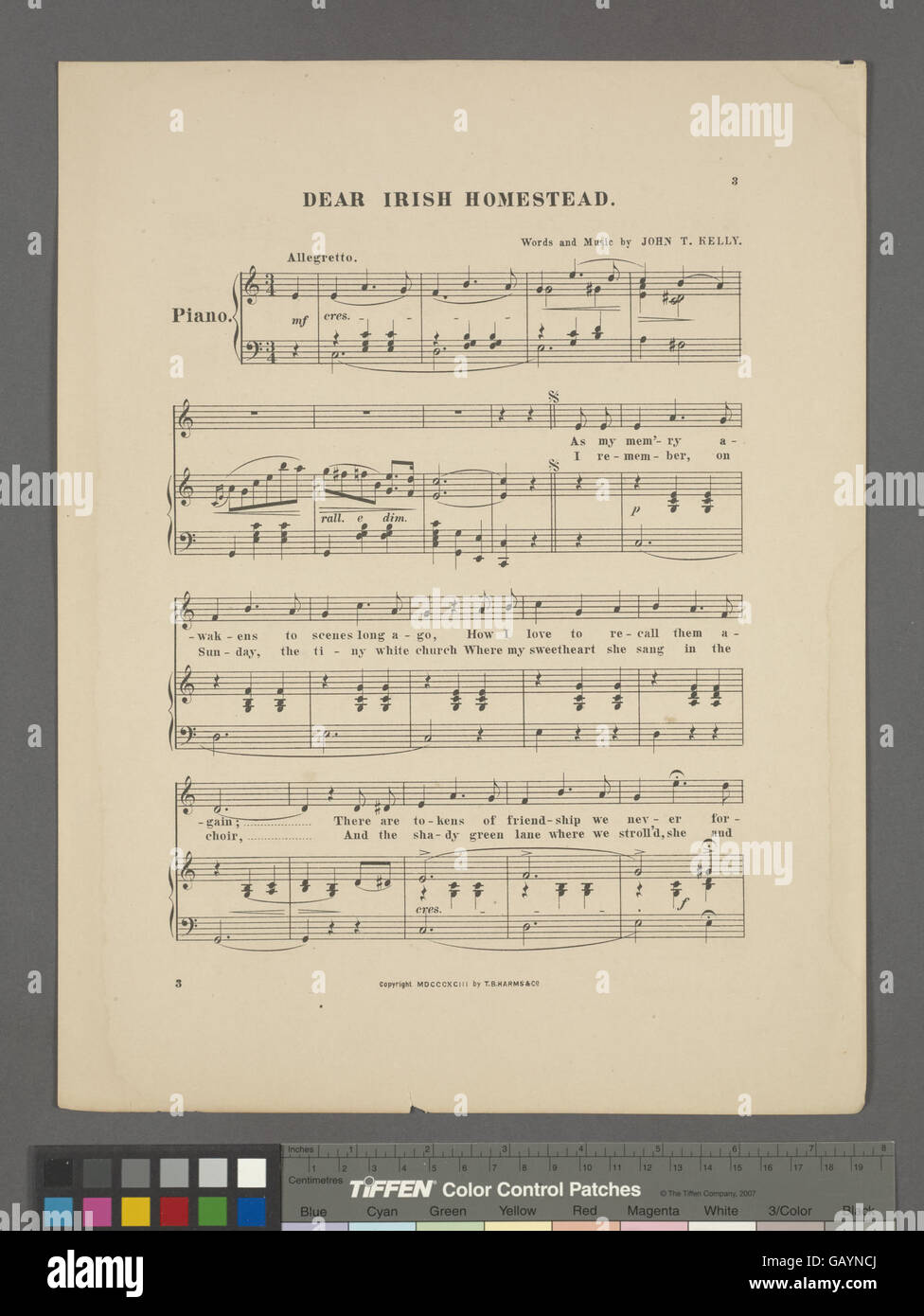 'The Dear Irish Homestead' evokes images of a traditional Irish family ...