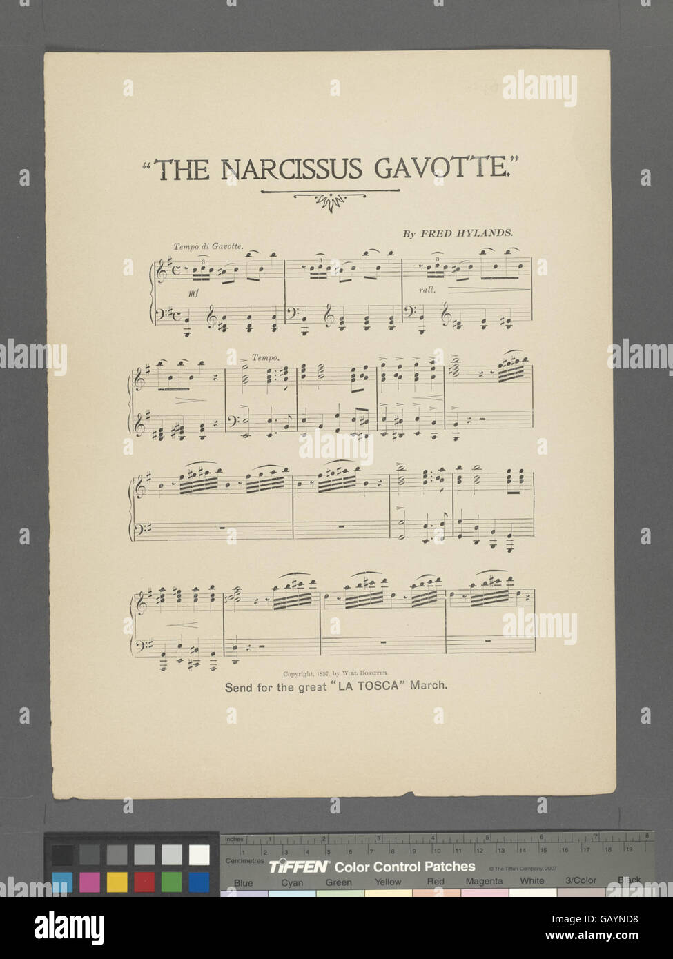 'The Darkey Volunteer' likely refers to a historical figure or a symbol ...