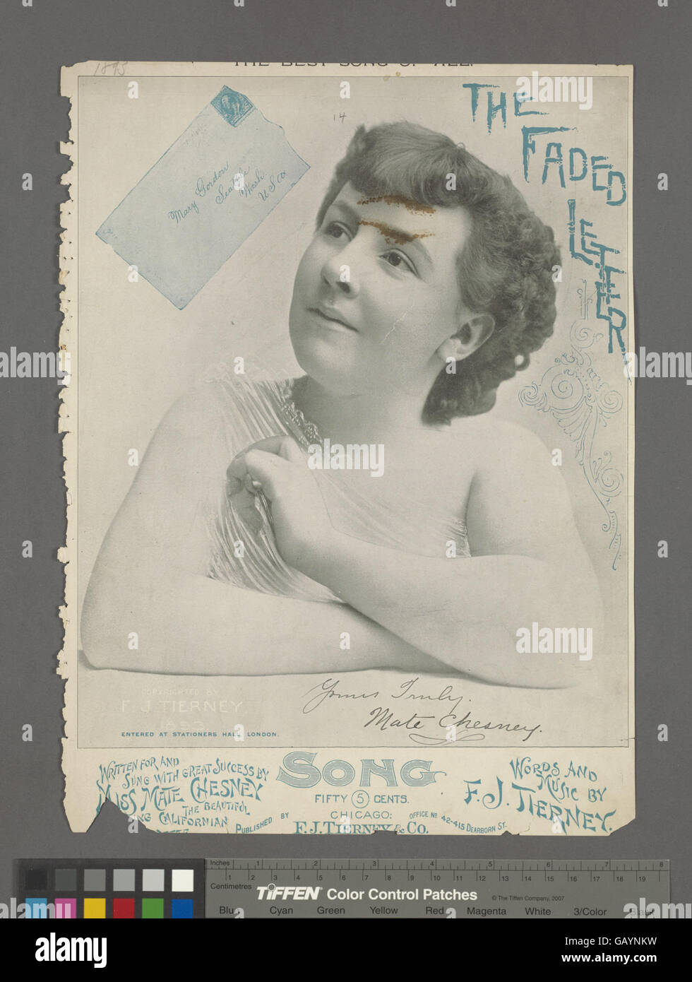 The title 'The Faded Letter' evokes a sense of nostalgia and loss ...