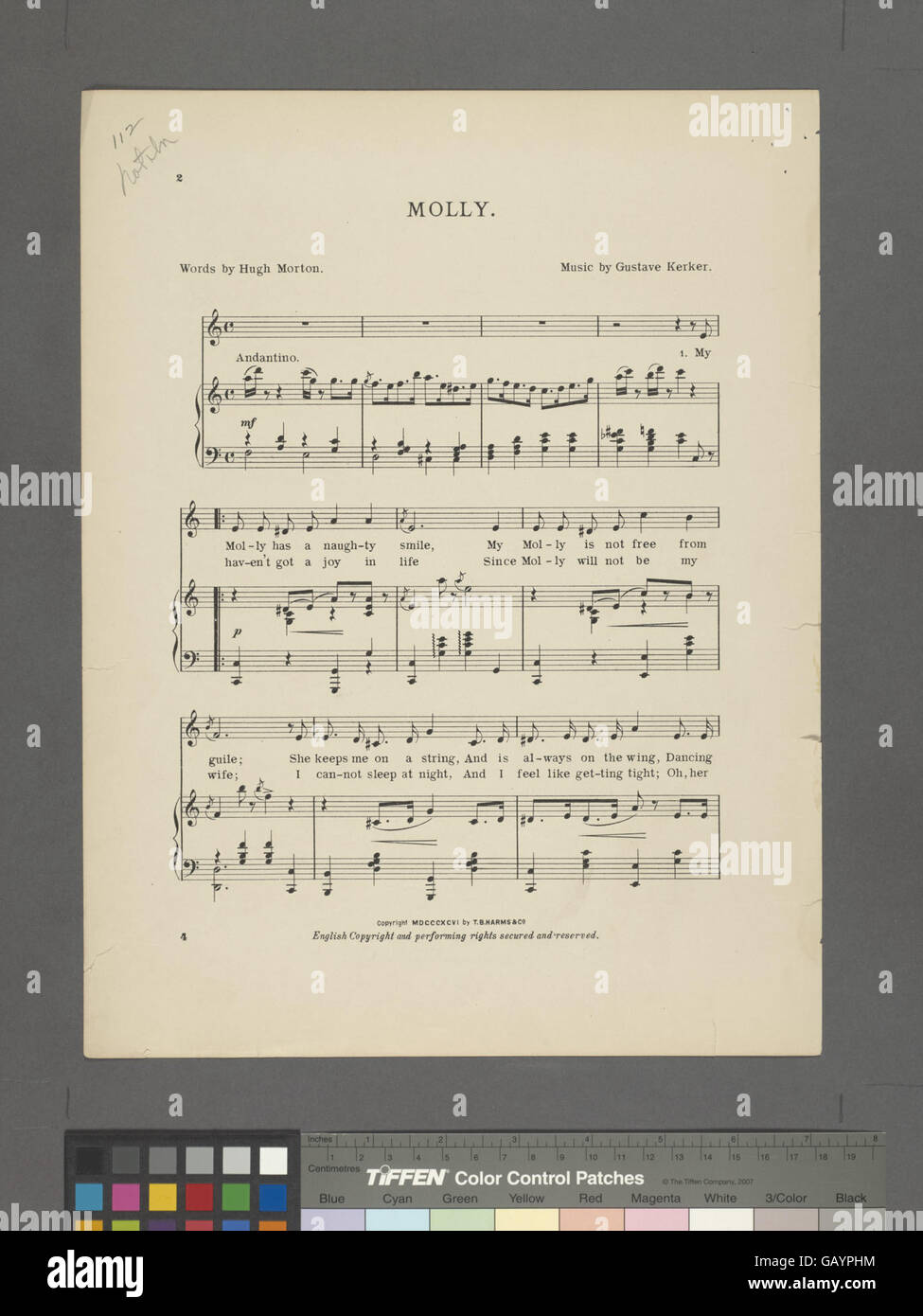 Molly name hi-res stock photography and images - Alamy