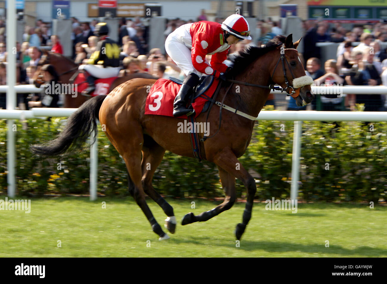 Horse Racing - Mardi Gras Themed Day - Doncaster Racecourse Stock Photo ...