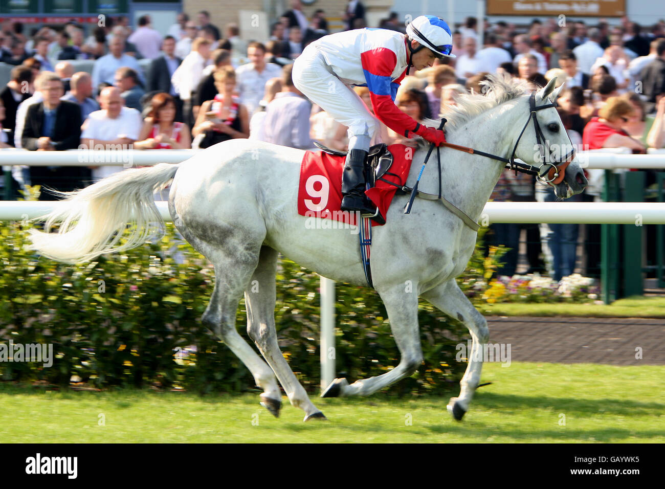 Northern jockey hi-res stock photography and images - Alamy