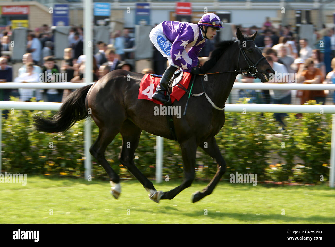 Jockey Matthew Davies on Parkview Love prior to the Northern Racing ...