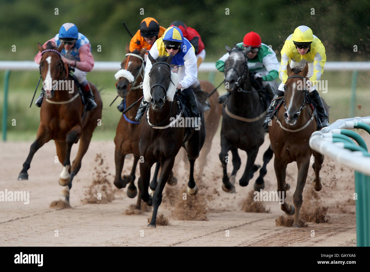 Horse Racing - Festival Night - Party in the Paddock - Soutwell ...