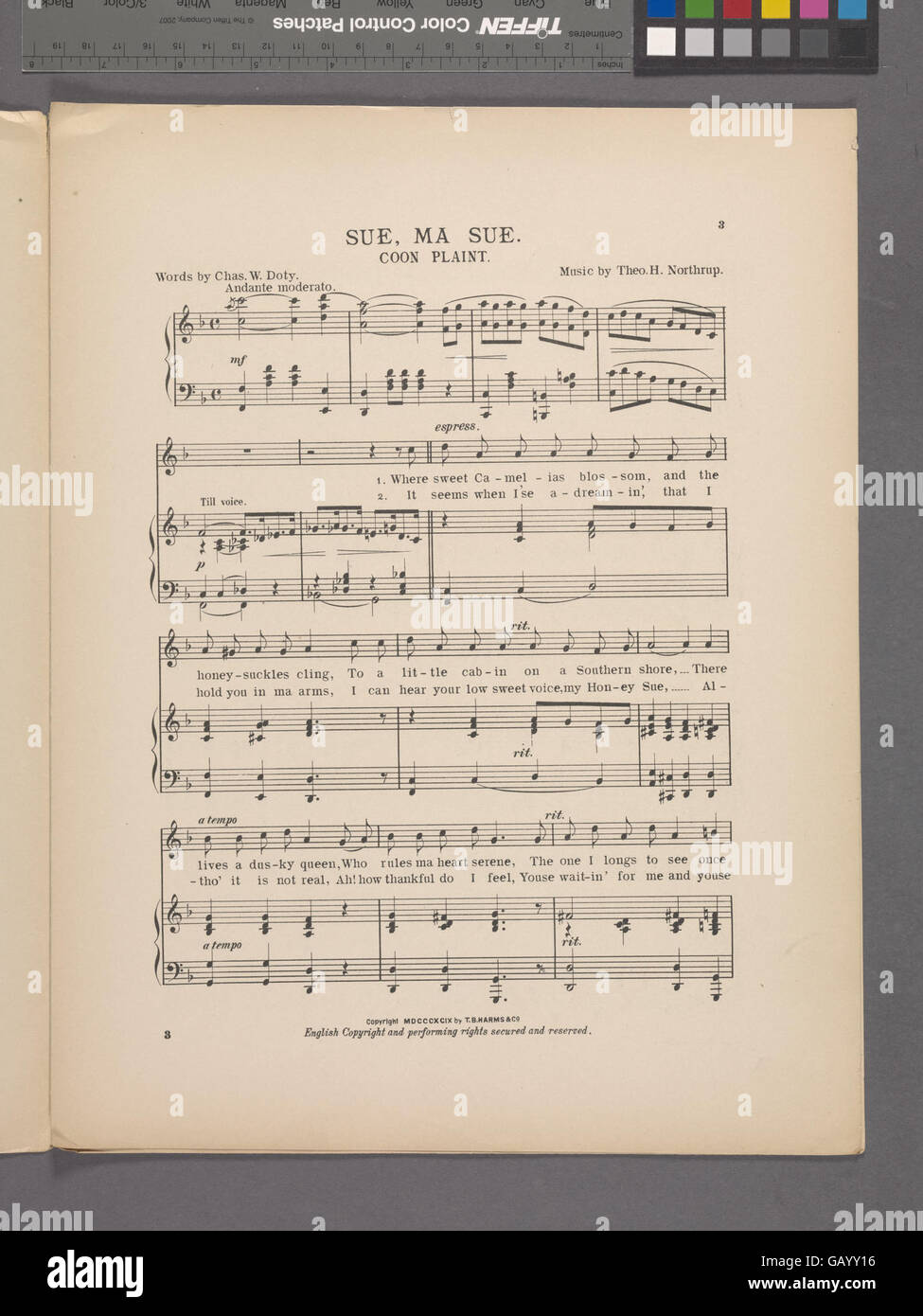 The phrase 'Sue, ma Sue' is an affectionate or personal address ...