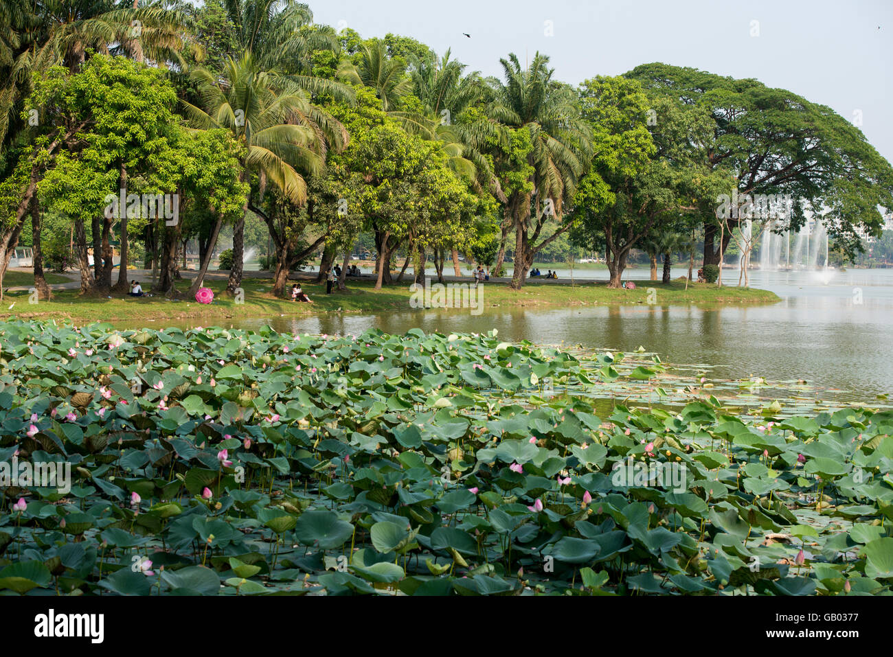 the Kandawgyi lake in the City of Yangon in Myanmar in Southeastasia ...