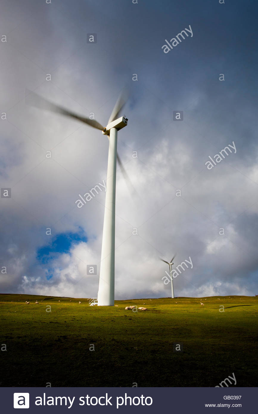 Wind farm uk sheep hi-res stock photography and images - Alamy