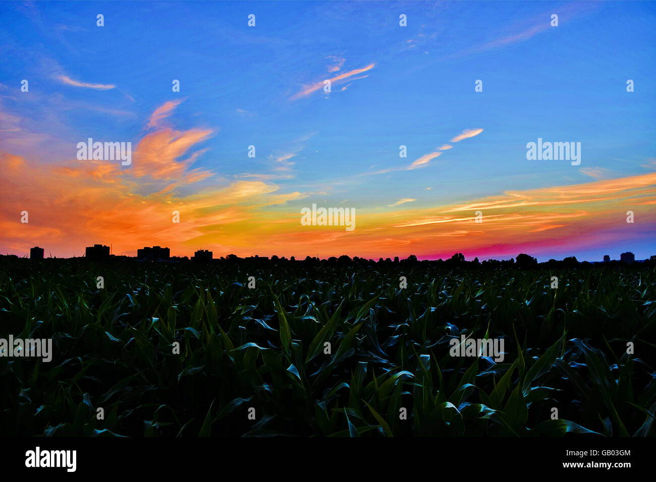 Farm sunsets hi-res stock photography and images - Alamy