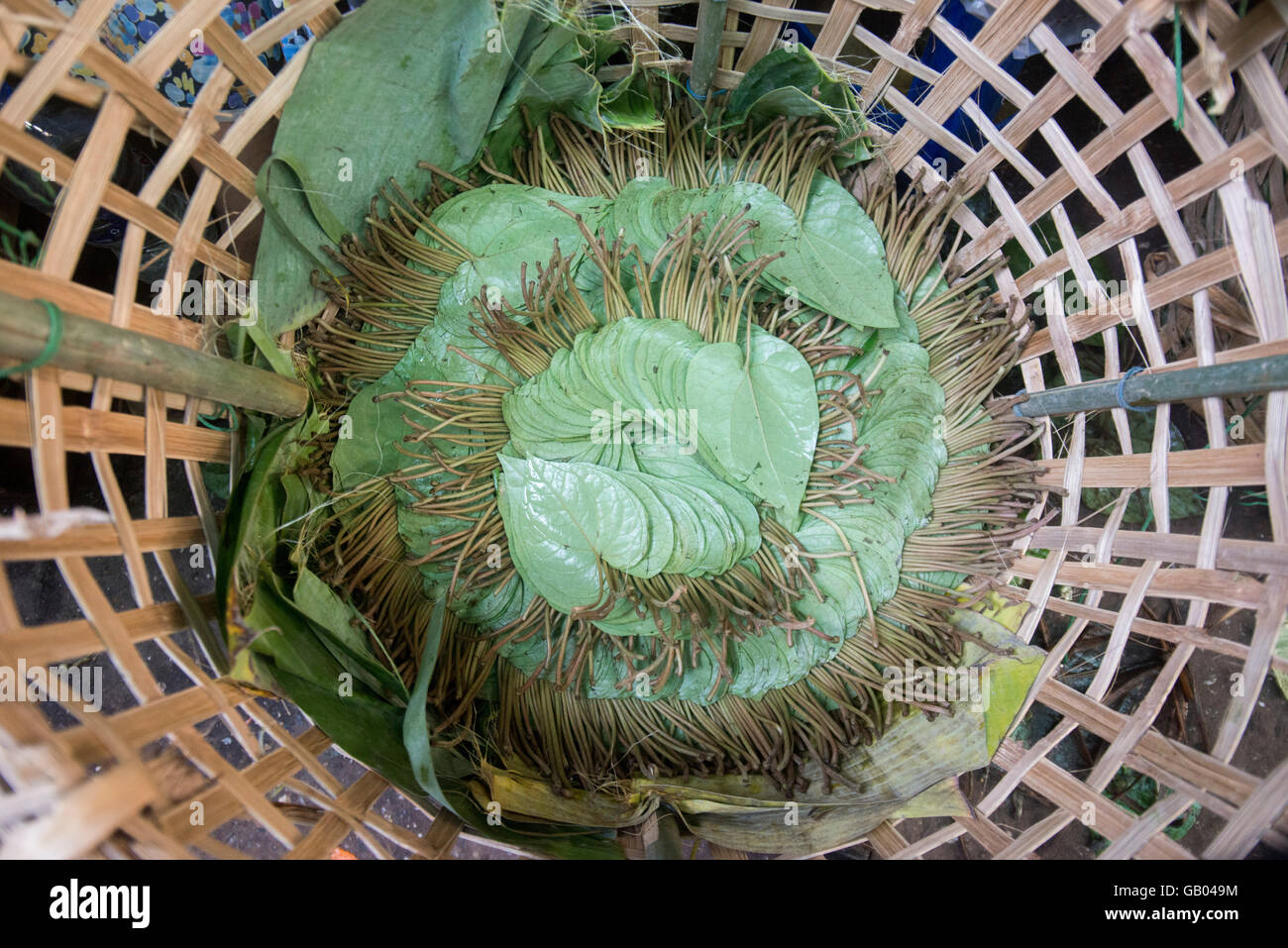Betel nut at a Market near the City of Yangon in Myanmar in ...