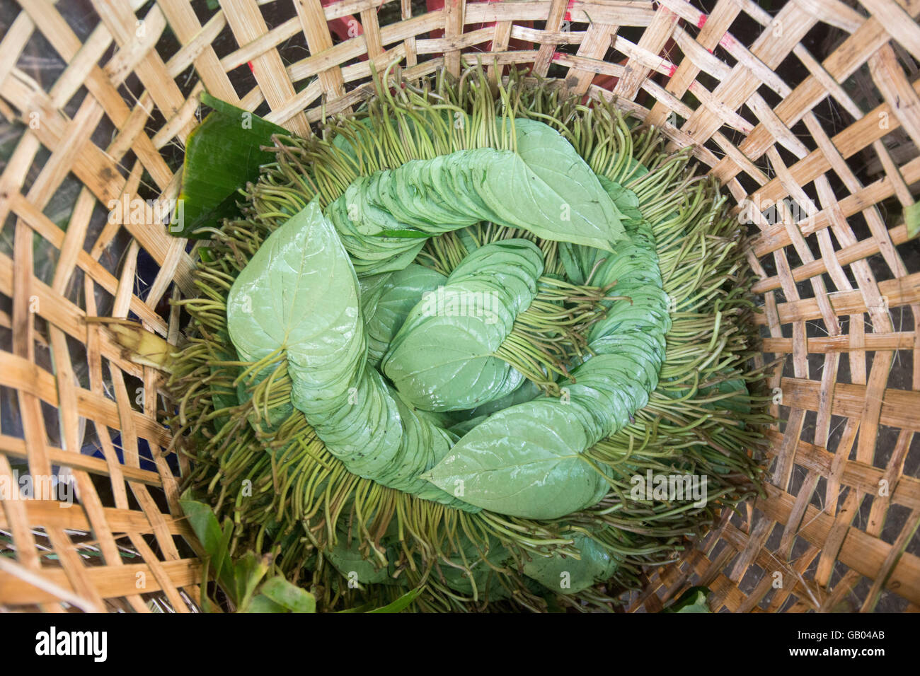 Betel nut at a Market near the City of Yangon in Myanmar in ...