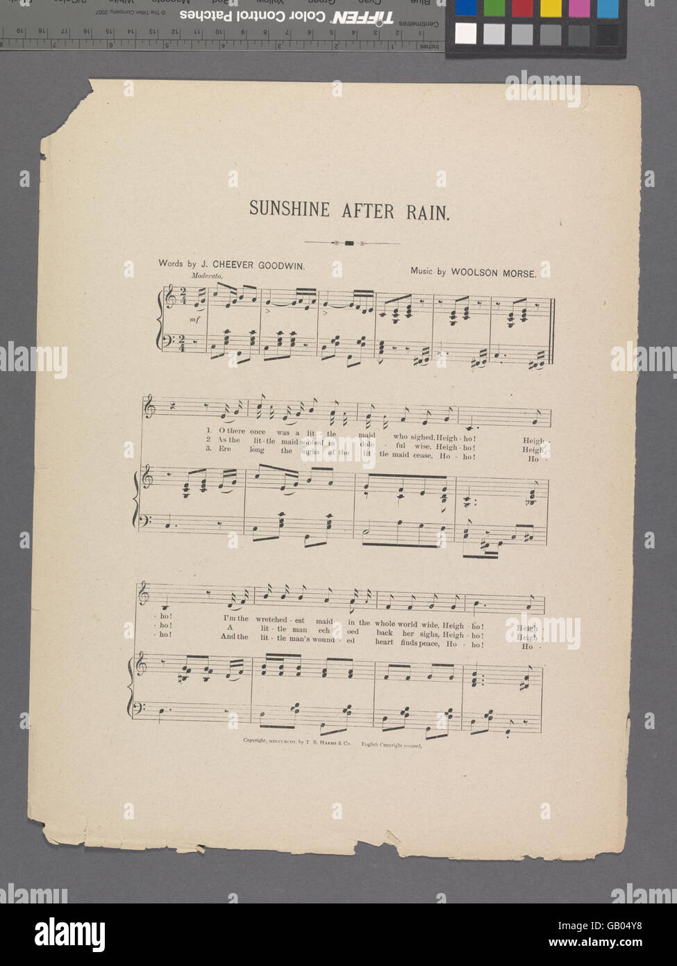 'Sunshine after rain' evokes a hopeful metaphor, symbolizing renewal ...