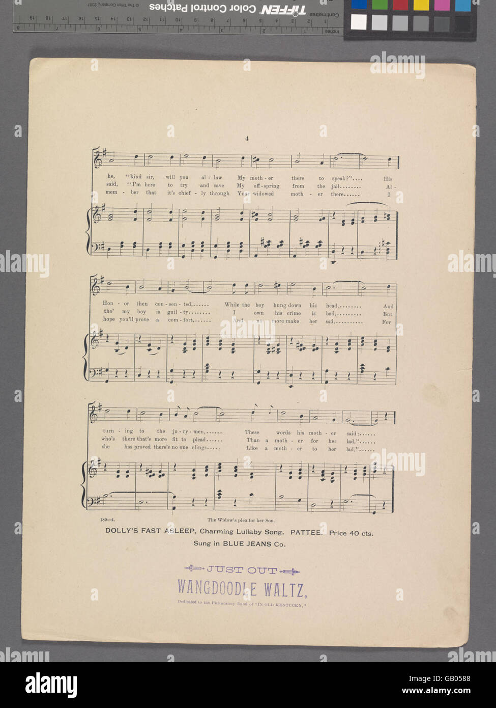 This title suggests a theme of mourning and grief, with a widow ...