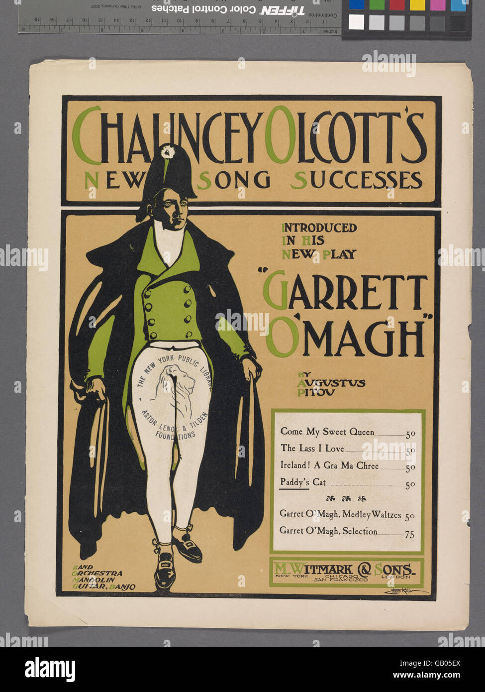 'Paddy's Cat' likely refers to a story or cultural reference involving ...