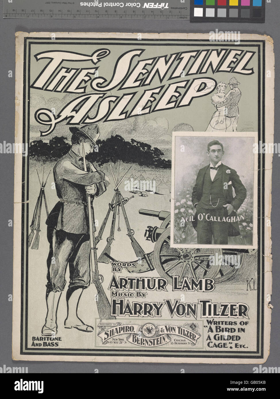 'The Sentinel Asleep' suggests an image of a guardian figure, typically ...