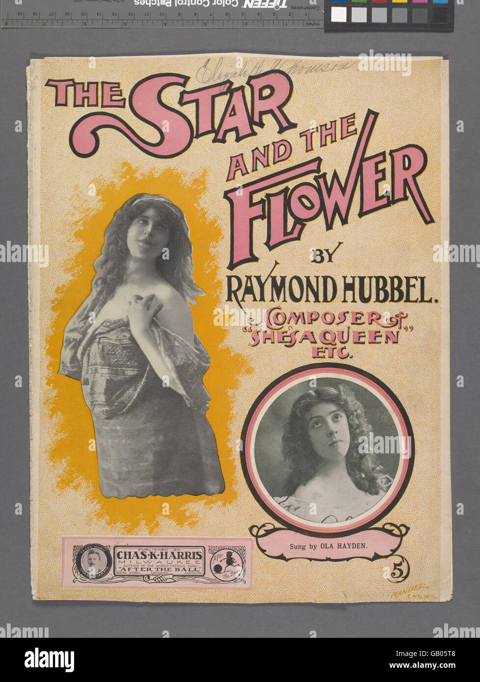 An artwork titled 'The Star and the Flower', connected to Hades-609031 ...