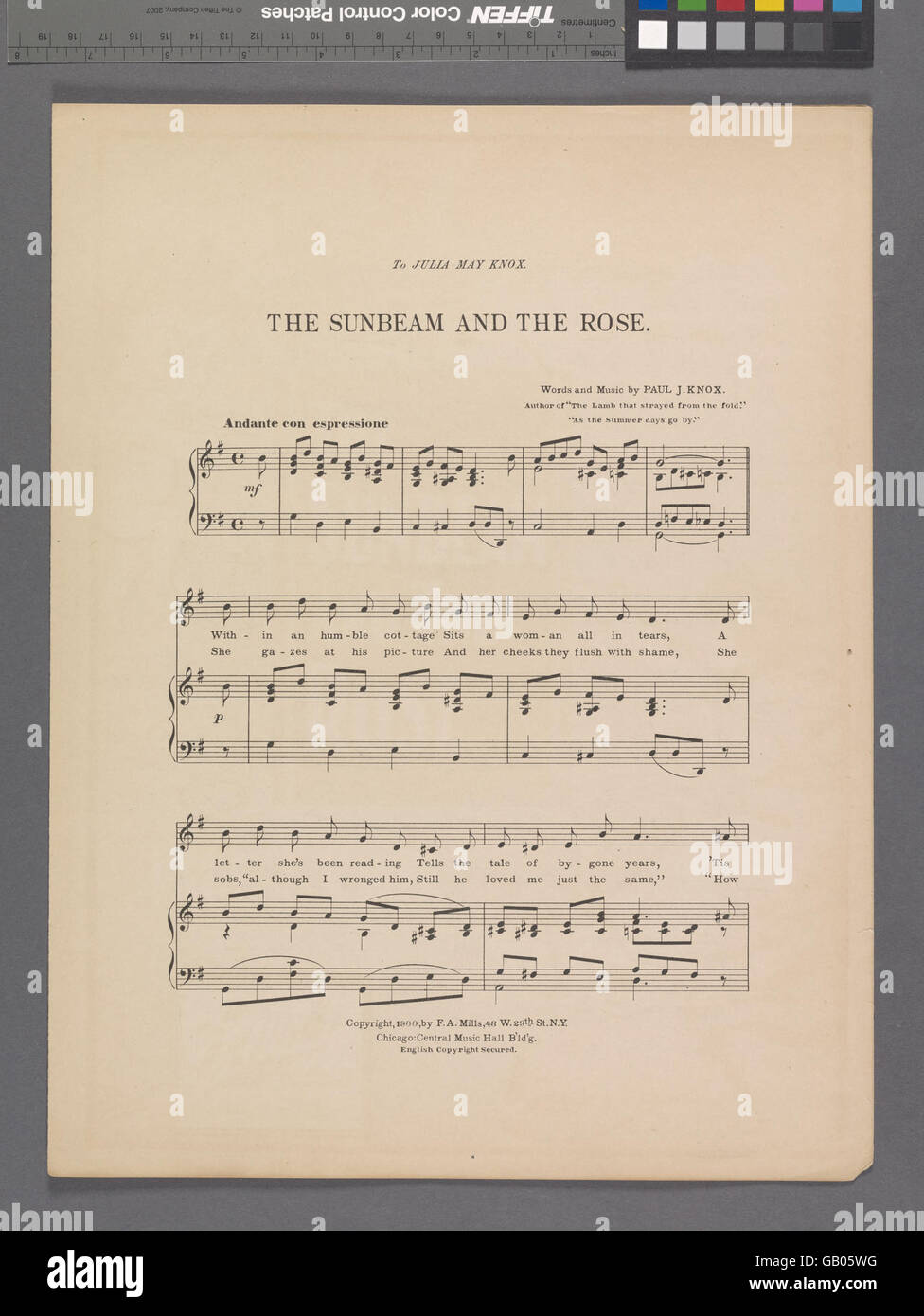 'The Sunbeam and the Rose' is a piece reflecting themes of light, beauty, and nature, possibly ...