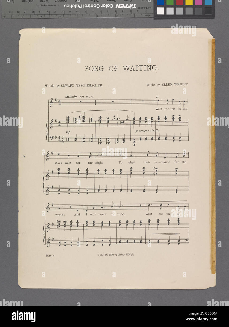 This image features violets, a delicate and fragrant flower often ...