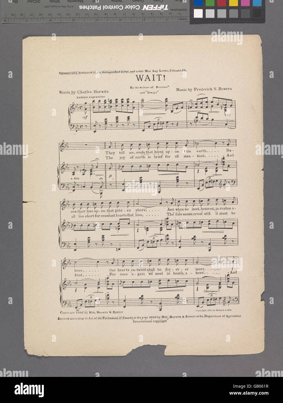 The image titled 'Wait' represents a moment of pause, potentially ...