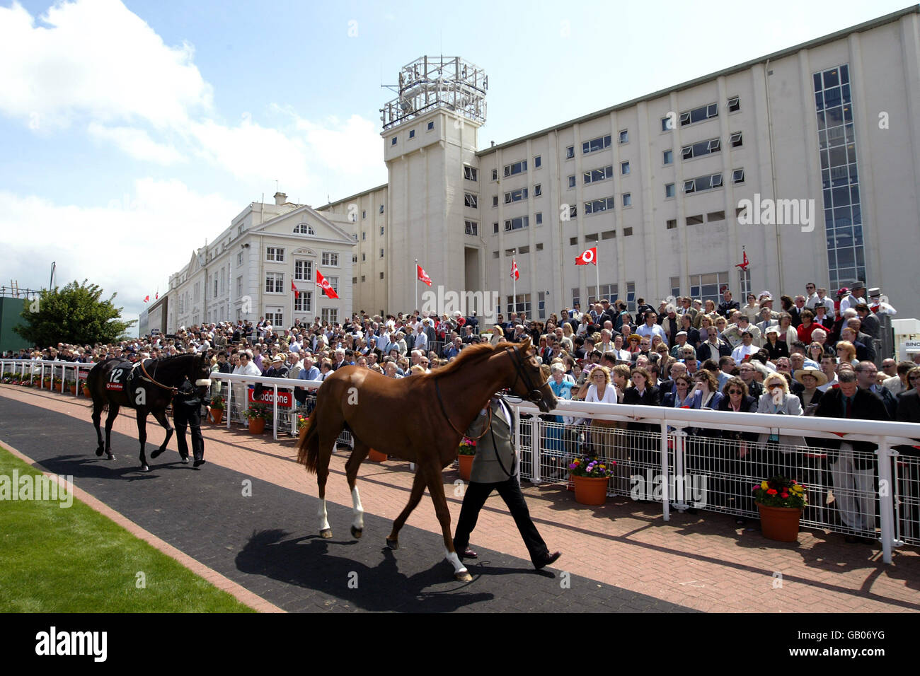 Horses led around parade ring hi-res stock photography and images - Alamy