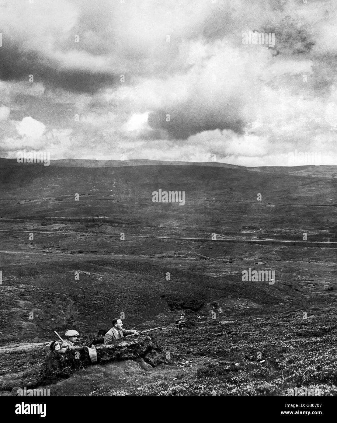 Fishing bird hunting in Black and White Stock Photos & Images - Alamy