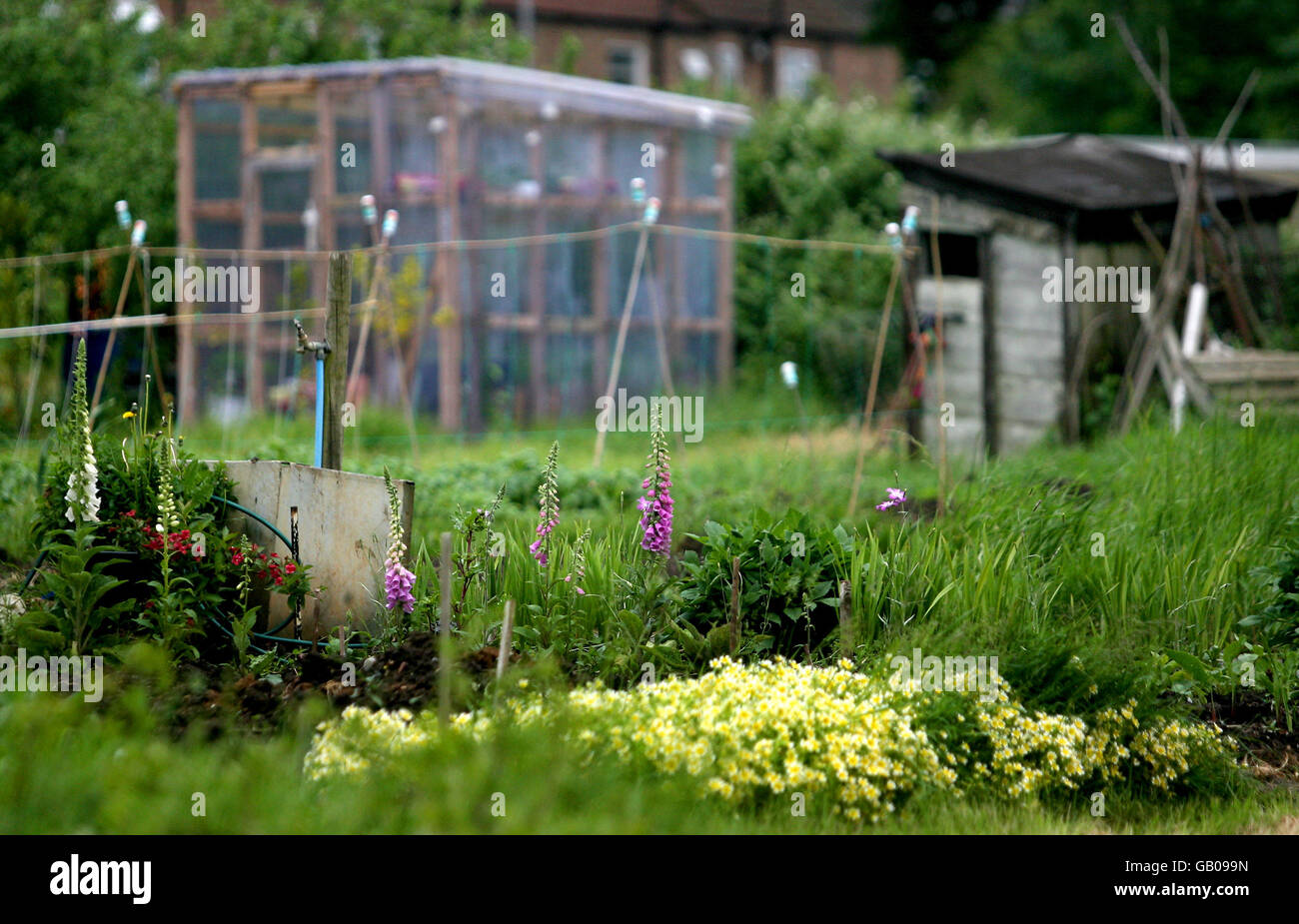 Stock general view allotments on richards close in harrow hi-res stock ...