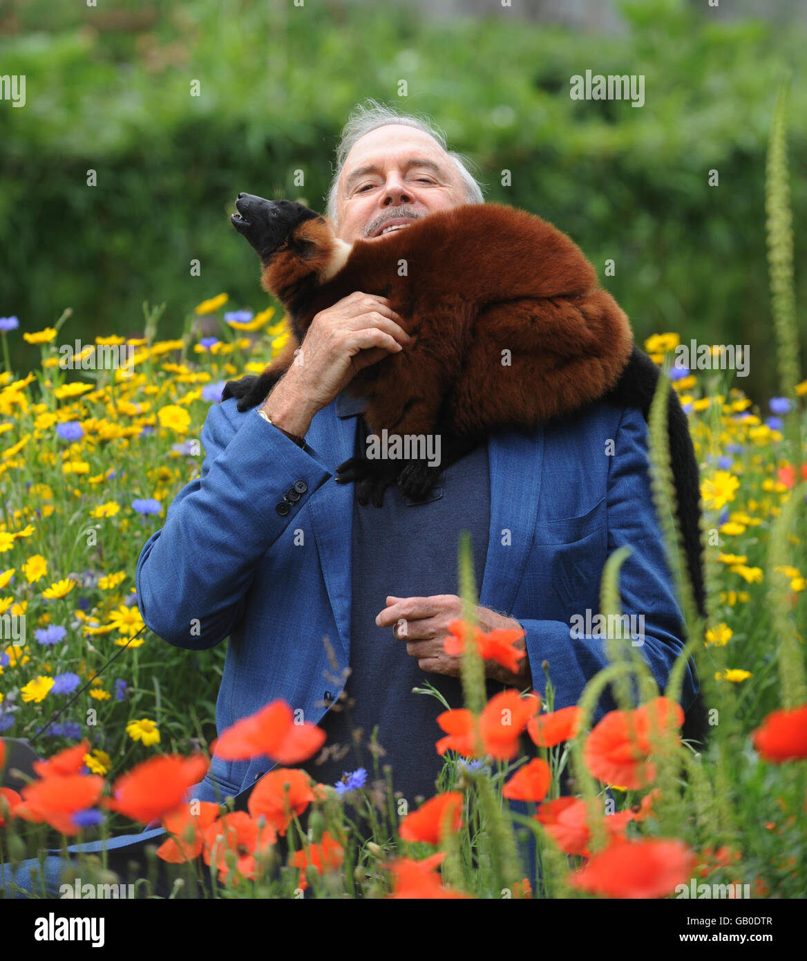 Monty Python star John Cleese meets Colin the red ruffed lemur, during ...
