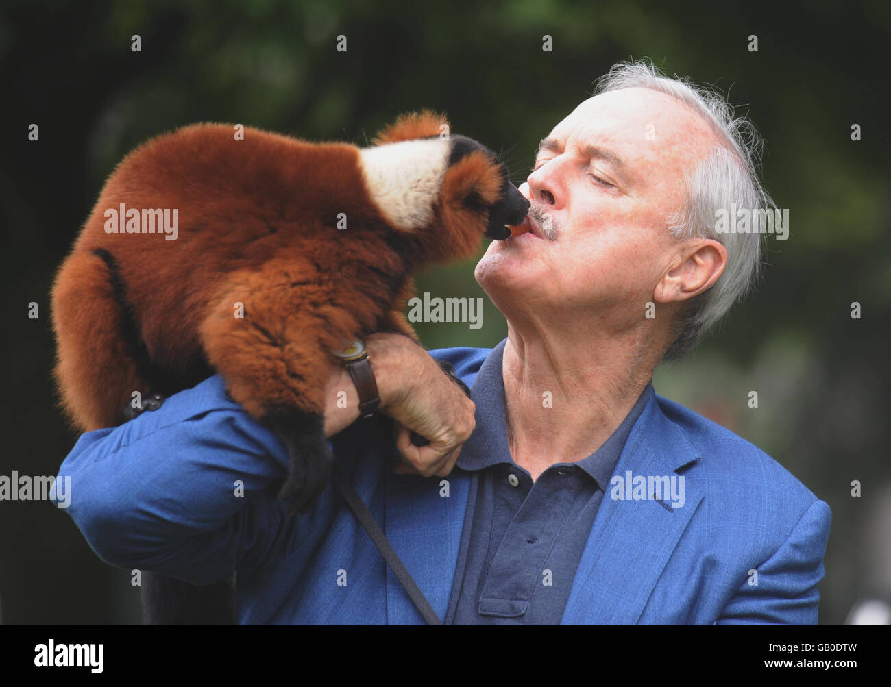 Lemur named after python star hi-res stock photography and images - Alamy