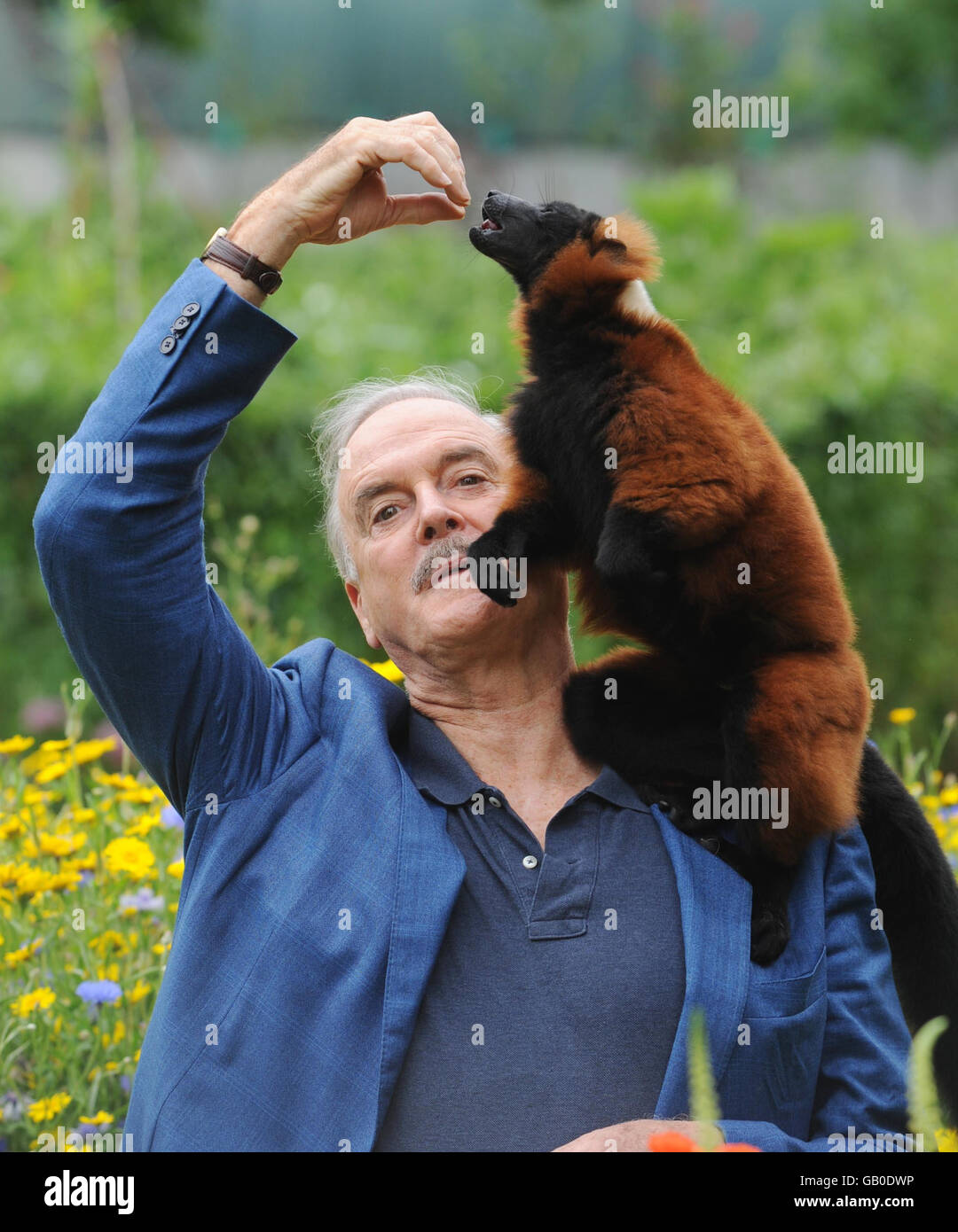 Lemur named after Python star Stock Photo - Alamy