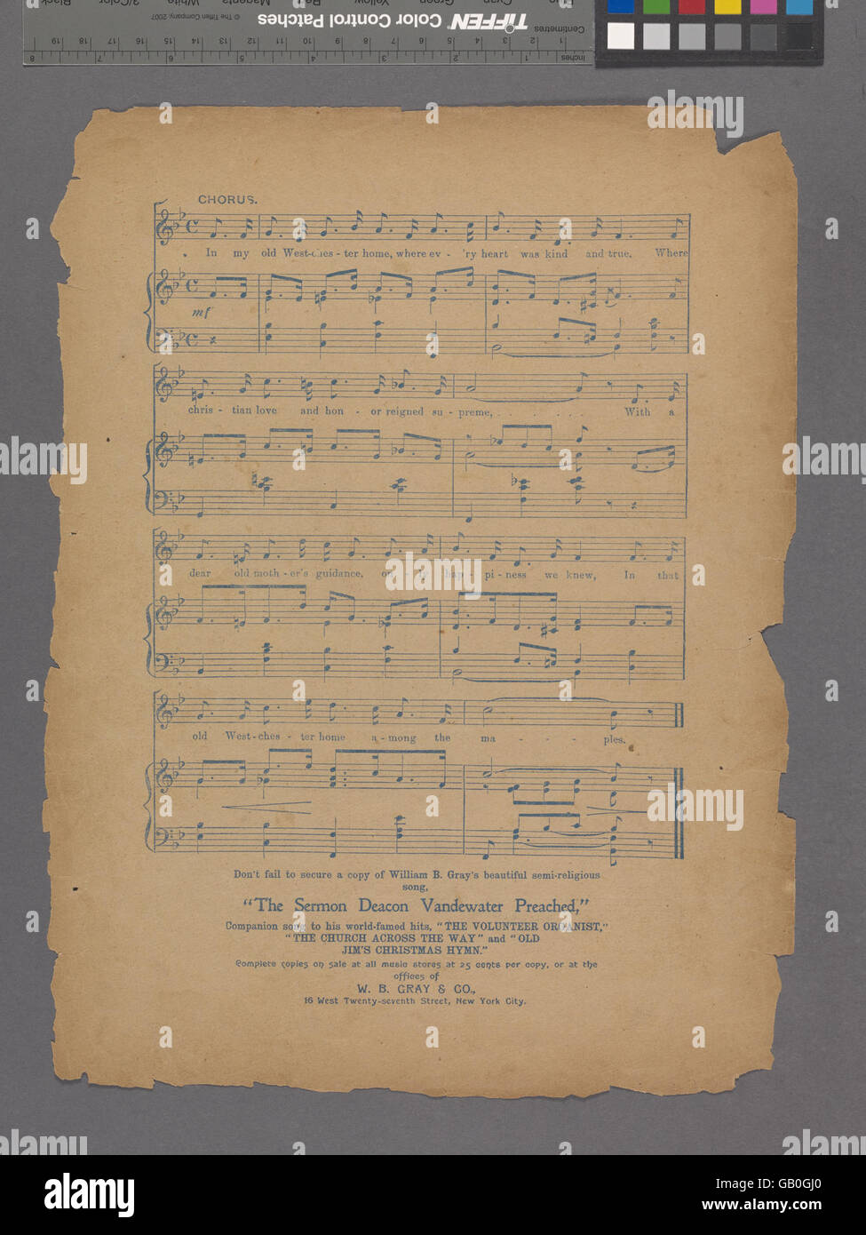 My old Westchester home among the maples ( Hades-609698-1957649 Stock ...