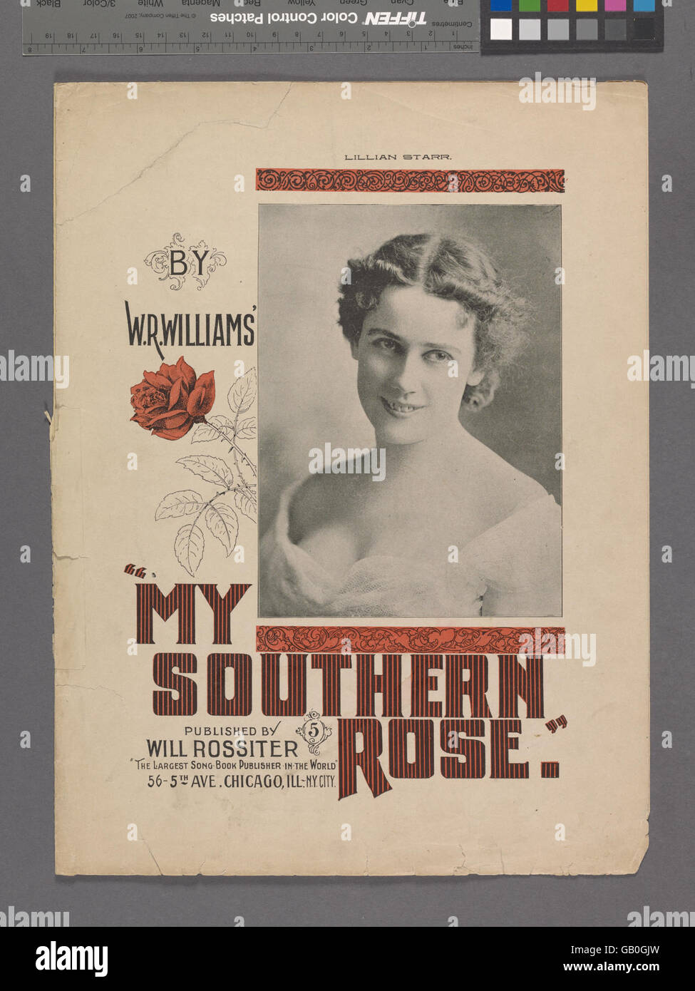 This artwork portrays a southern woman, described as a 'Southern rose ...