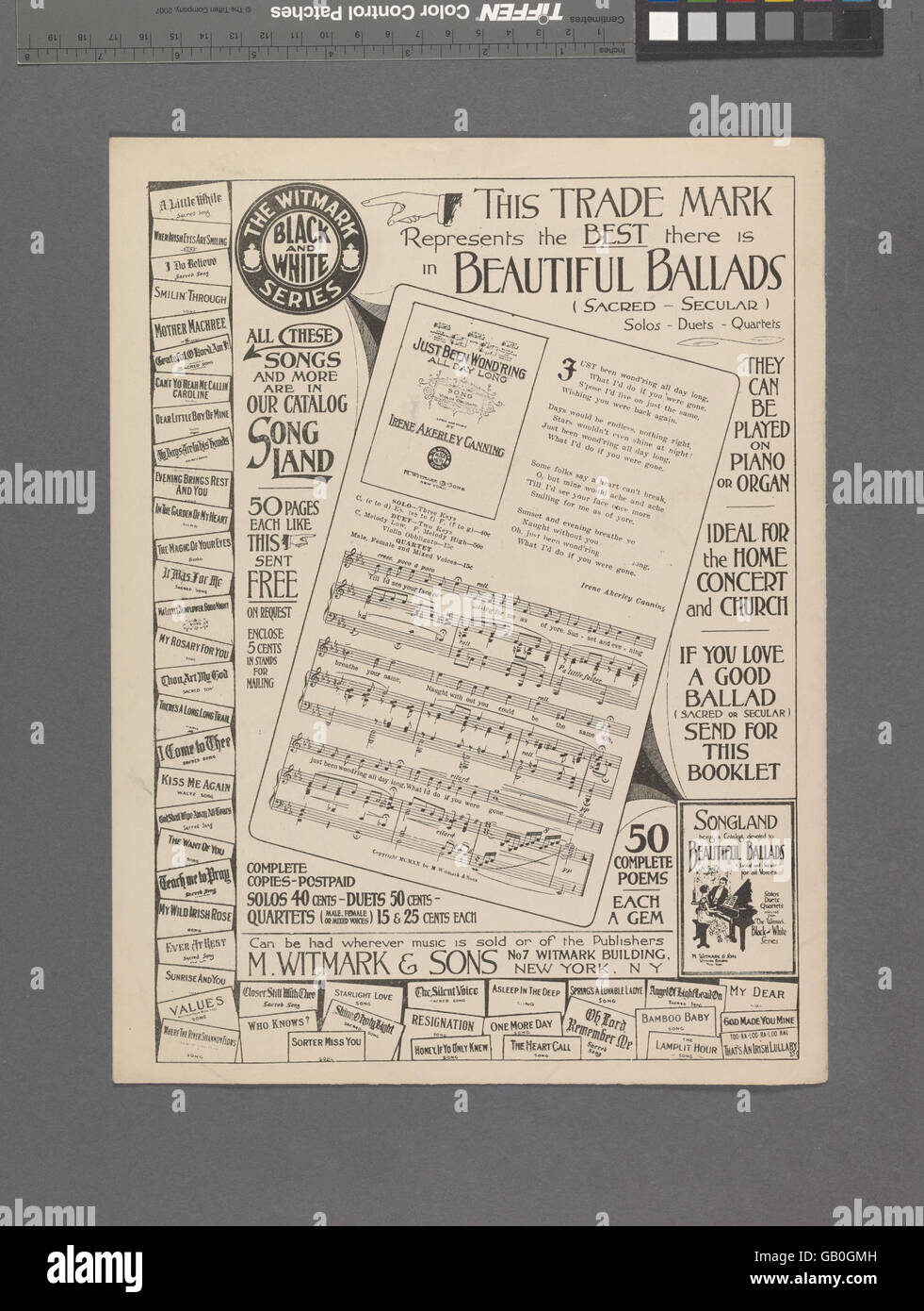 'My Wild Irish Rose' is a popular American ballad, known for its gentle ...