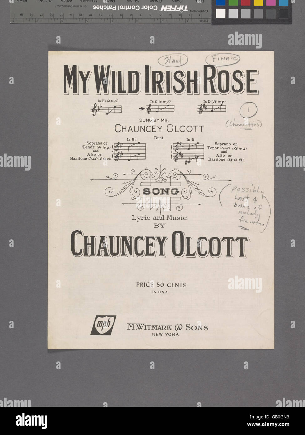 An artwork titled 'My Wild Irish Rose', possibly depicting an Irish ...