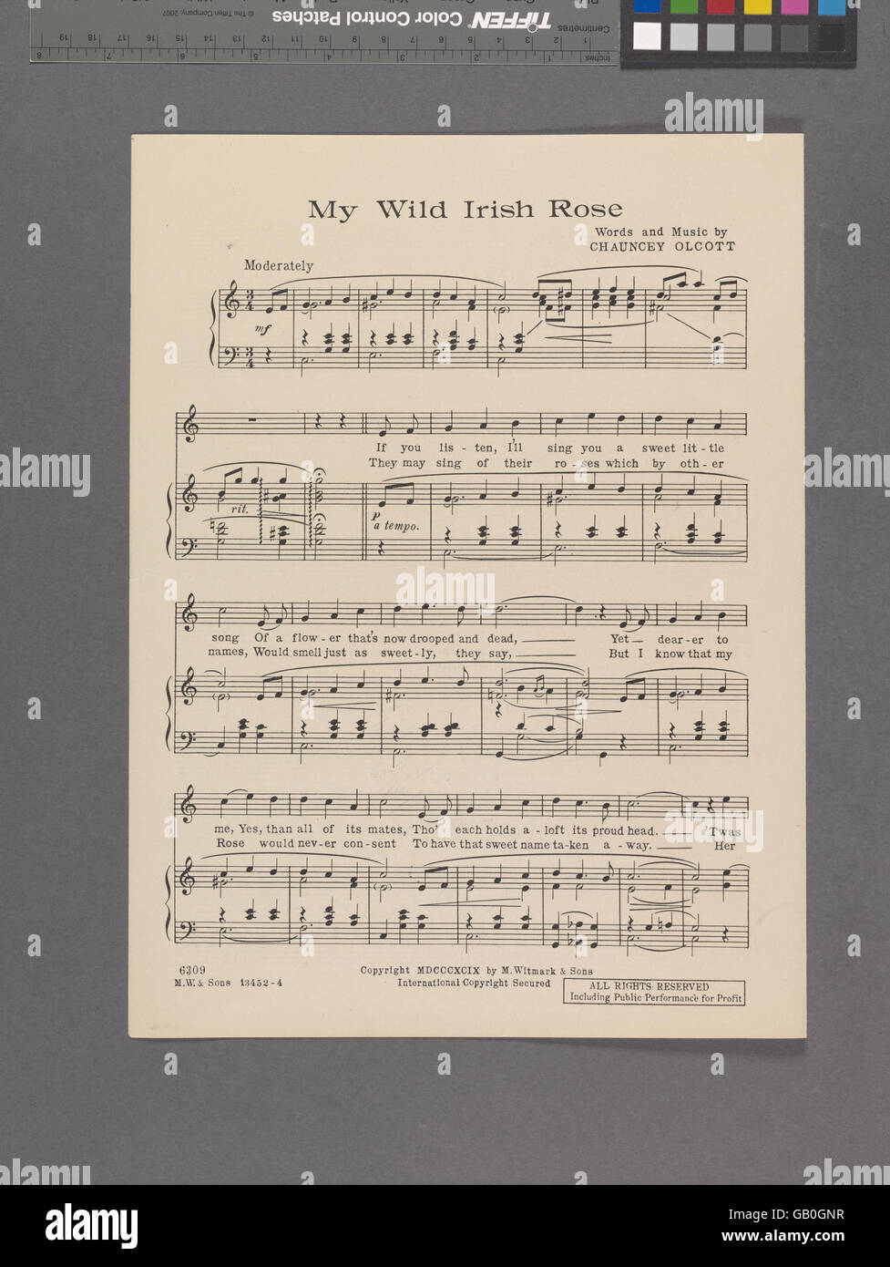 'My Wild Irish Rose' is a well-known American song celebrating Irish ...