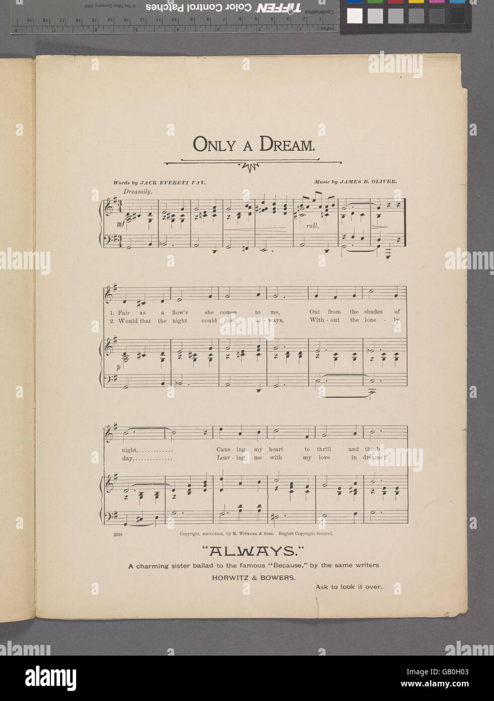 A reference to a fleeting or idealized dream, often associated with ...