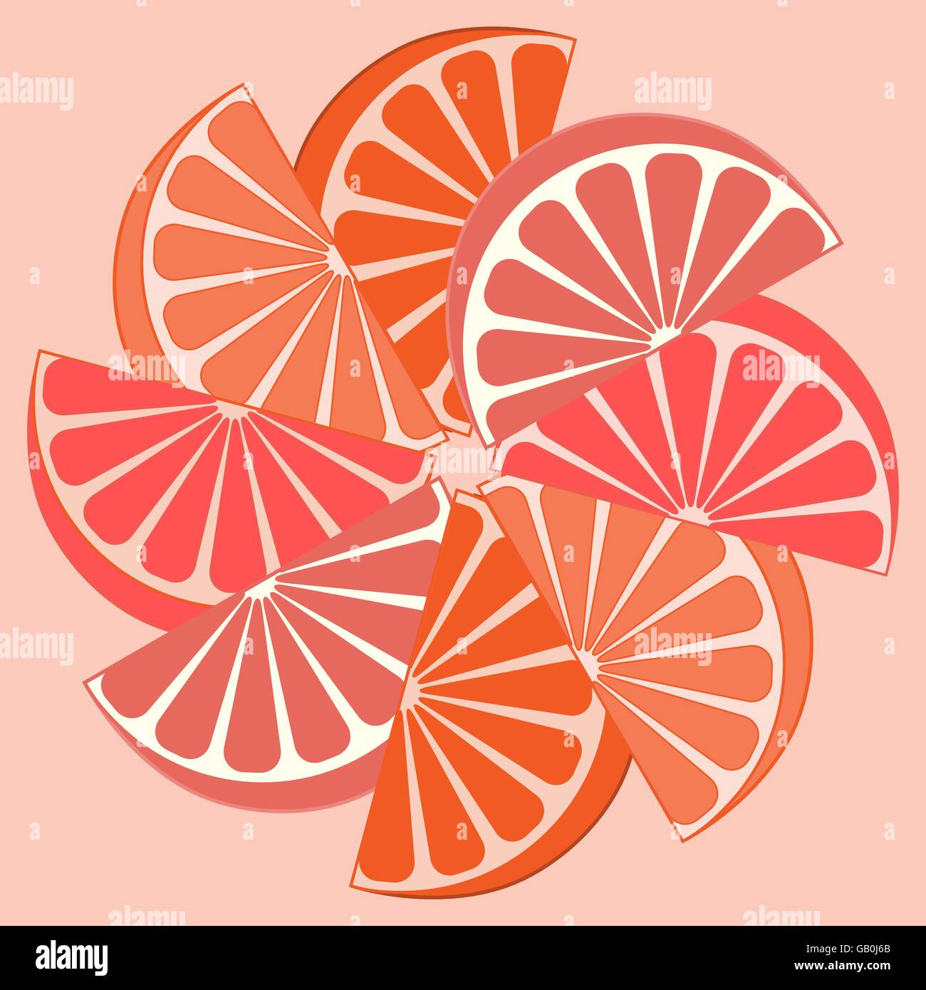 Picture of appetizing orange slices on a white background Stock Vector ...