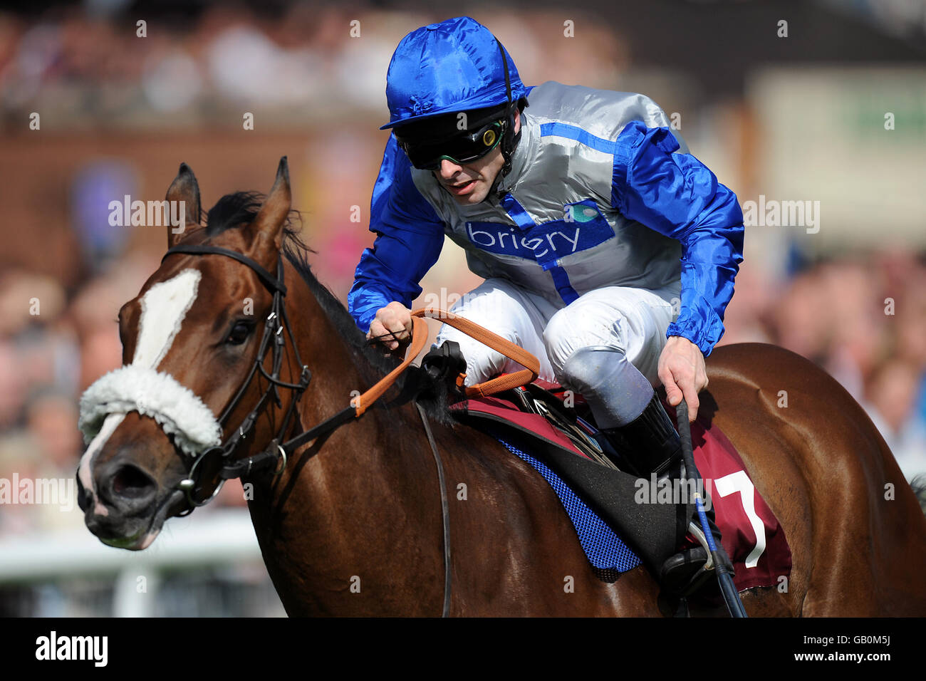 Horse Racing - Haydock Park Racecourse Stock Photo - Alamy