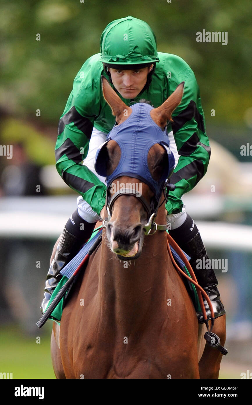 Horse Racing - Haydock Park Racecourse Stock Photo - Alamy