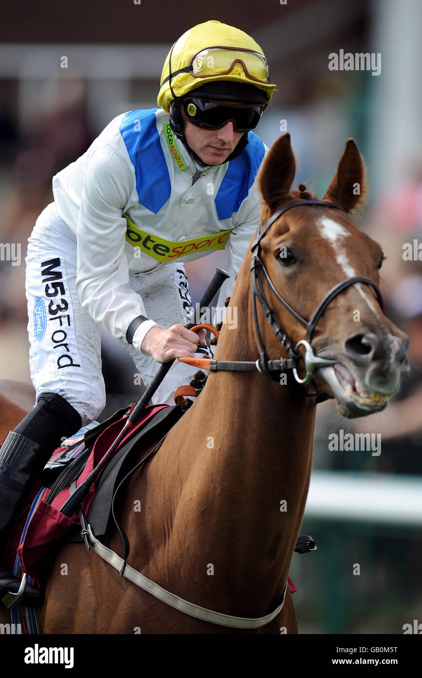 Horse Racing - Haydock Park Racecourse Stock Photo - Alamy