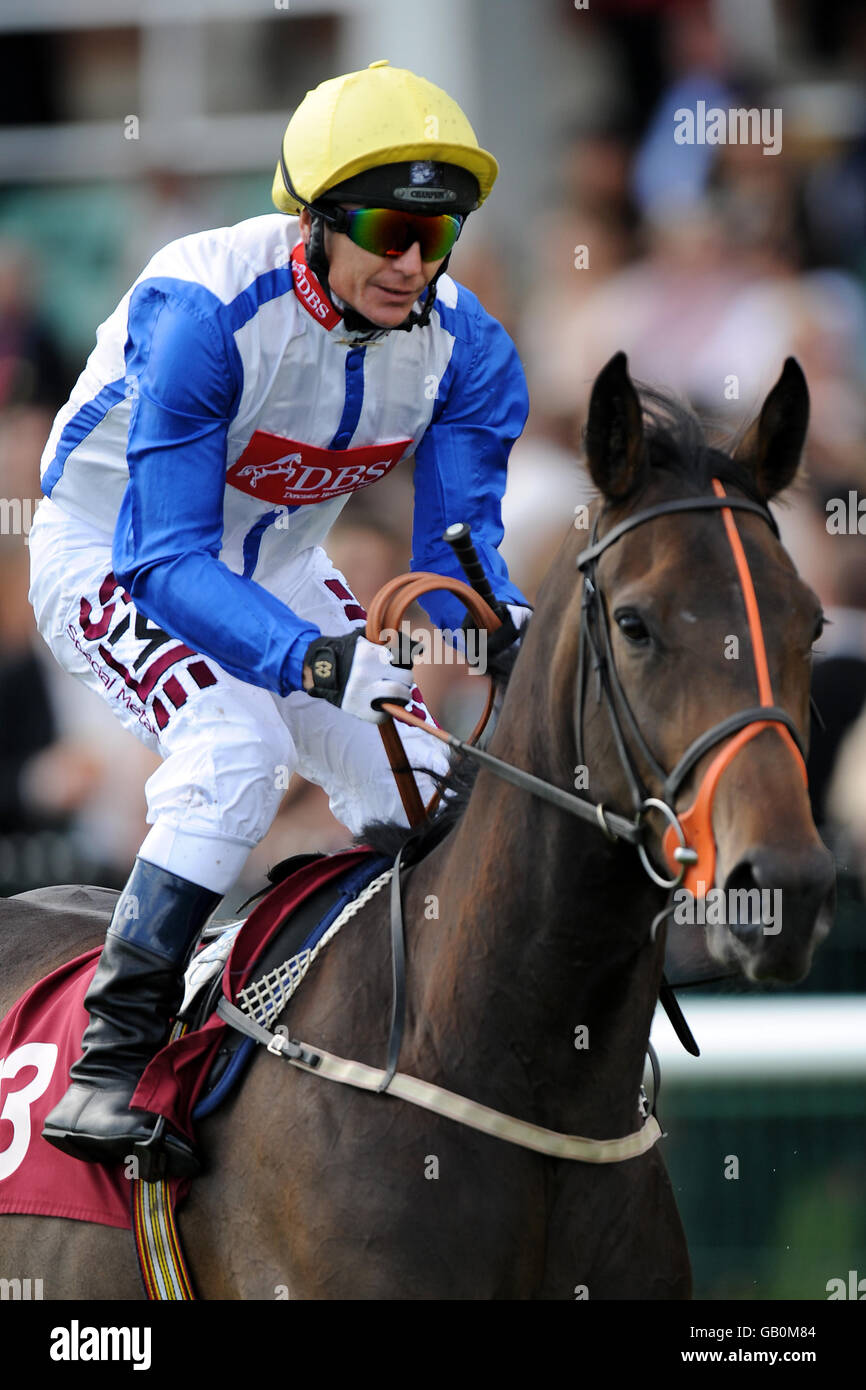 Horse Racing - Haydock Park Racecourse Stock Photo - Alamy