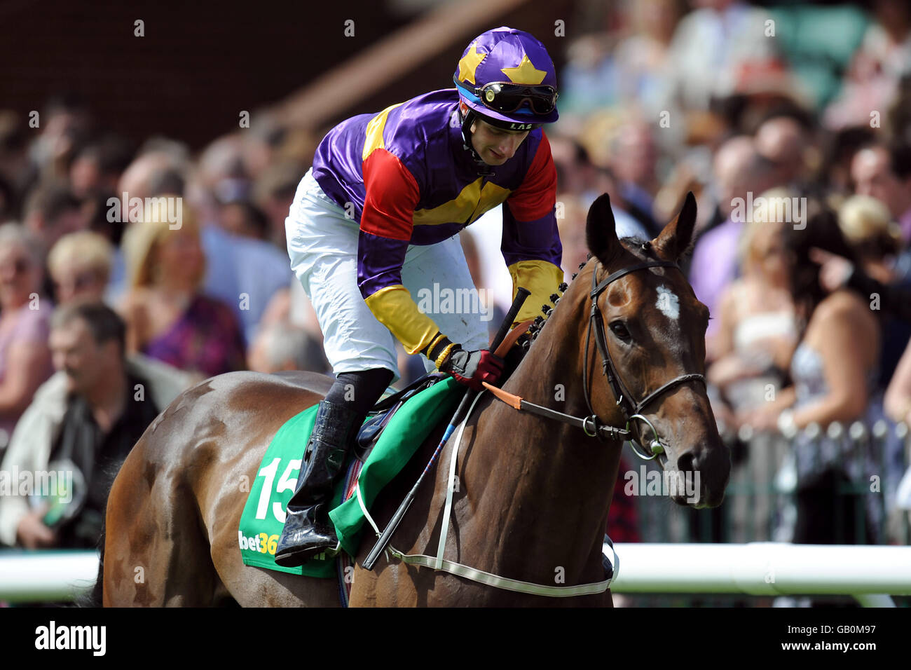 Horse Racing - Haydock Park Racecourse Stock Photo - Alamy
