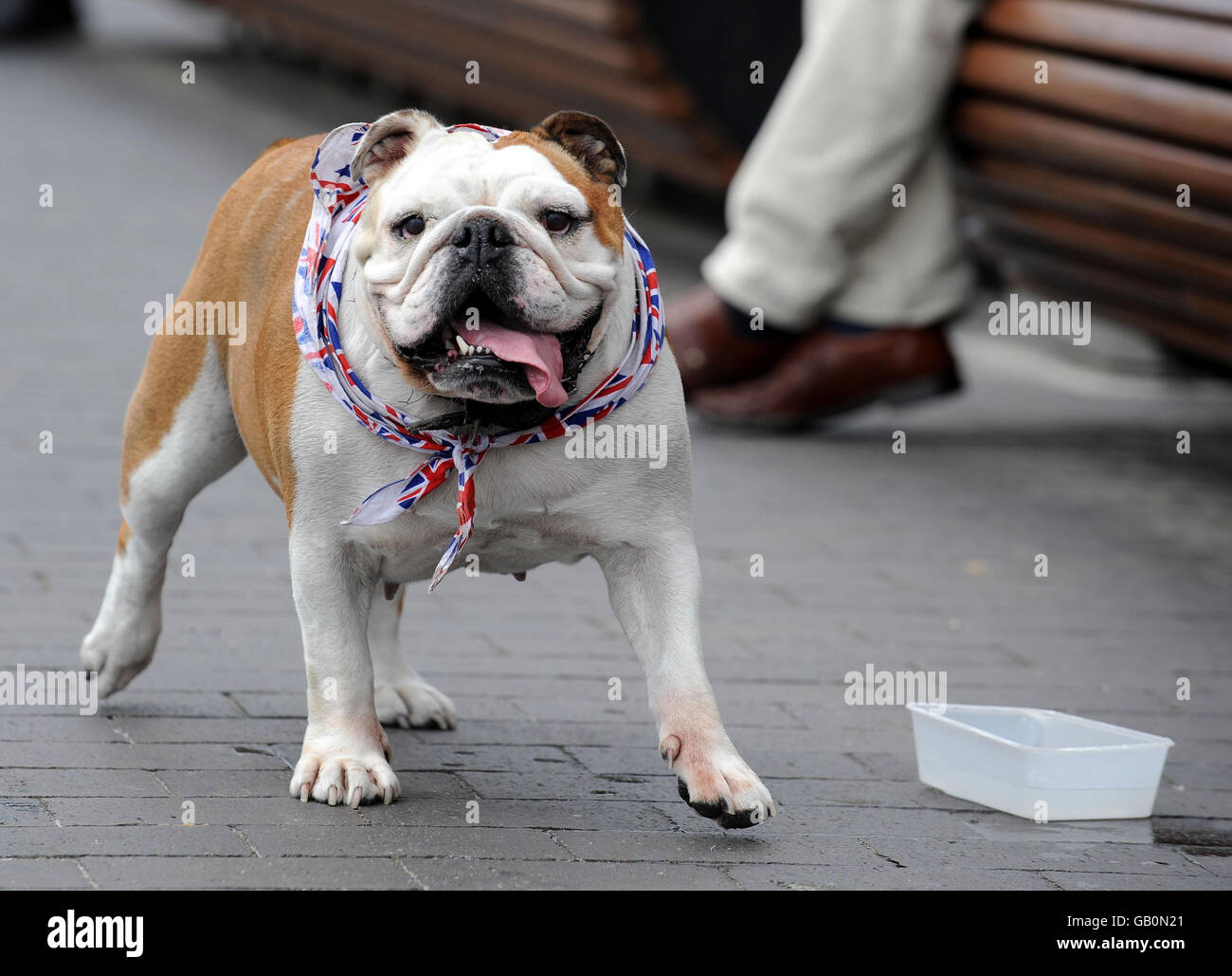 English bulldog flag hi-res stock photography and images - Alamy