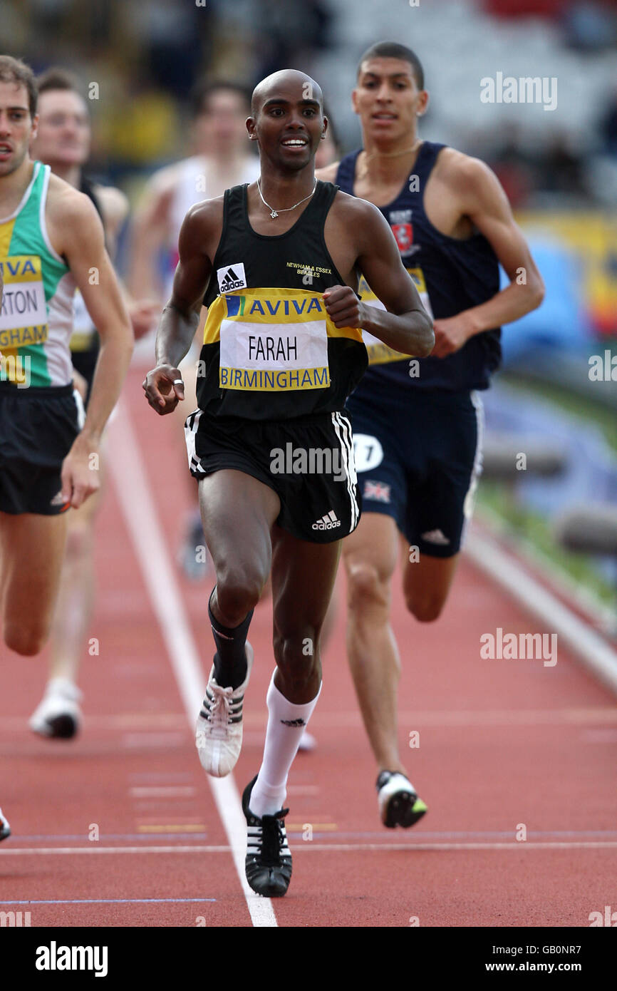 Newham and essex beagles hi-res stock photography and images - Alamy
