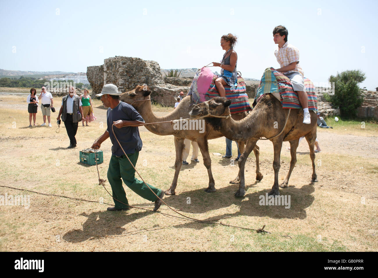 Tourists ride on camels in Tangier, Morocco Stock Photo - Alamy