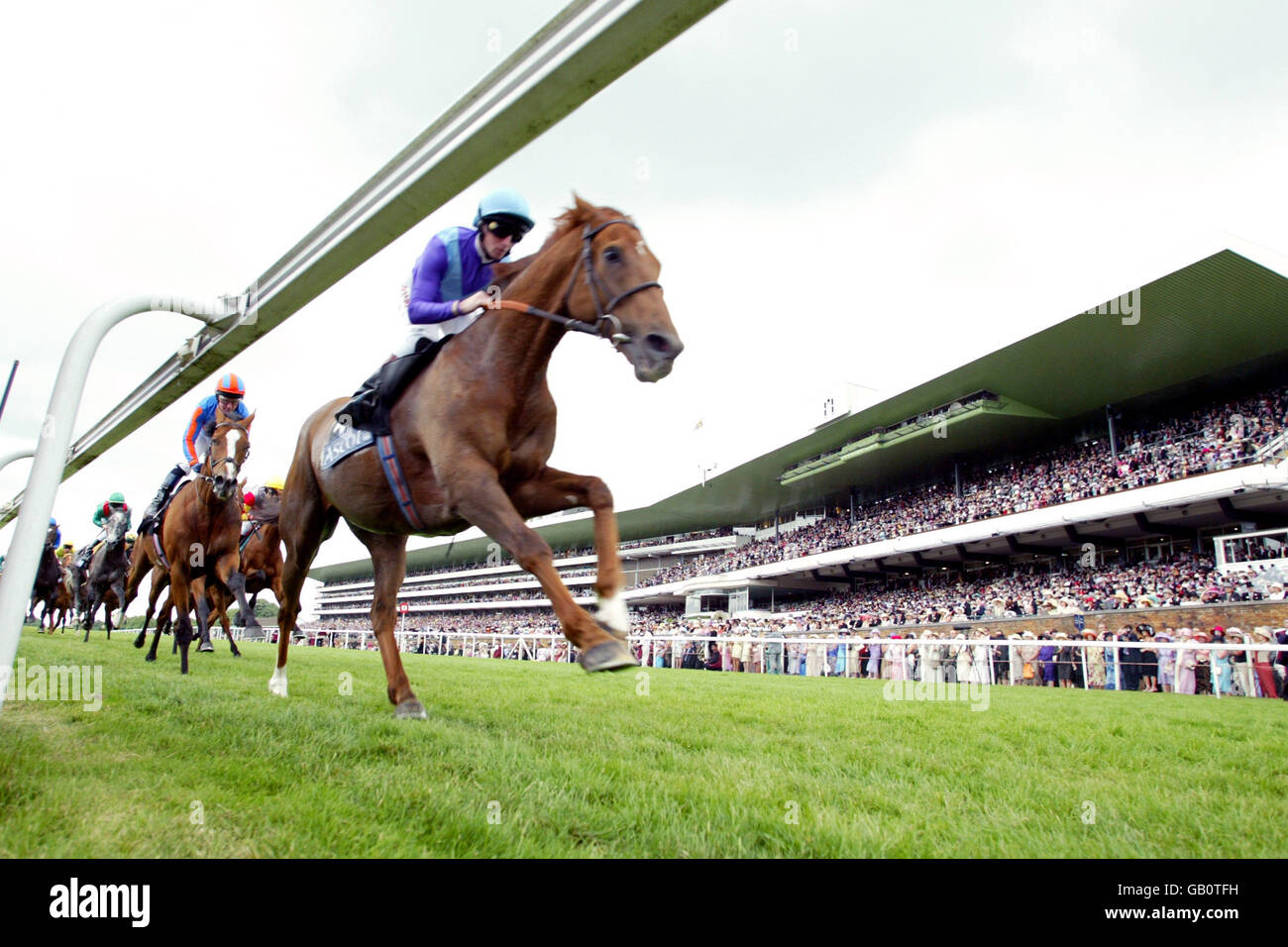 Horses race towards the finish line hi-res stock photography and images ...