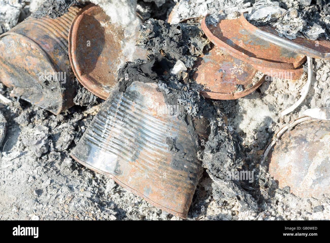 Discarded burnt tin cans lying in a pile of ash from a burnt fire ...