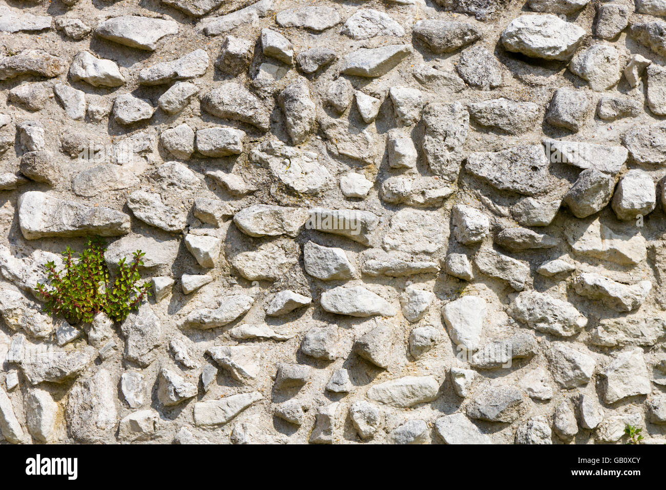 Close up of a wall of Lewes Priory, a ruined medieval Cluniac priory in ...
