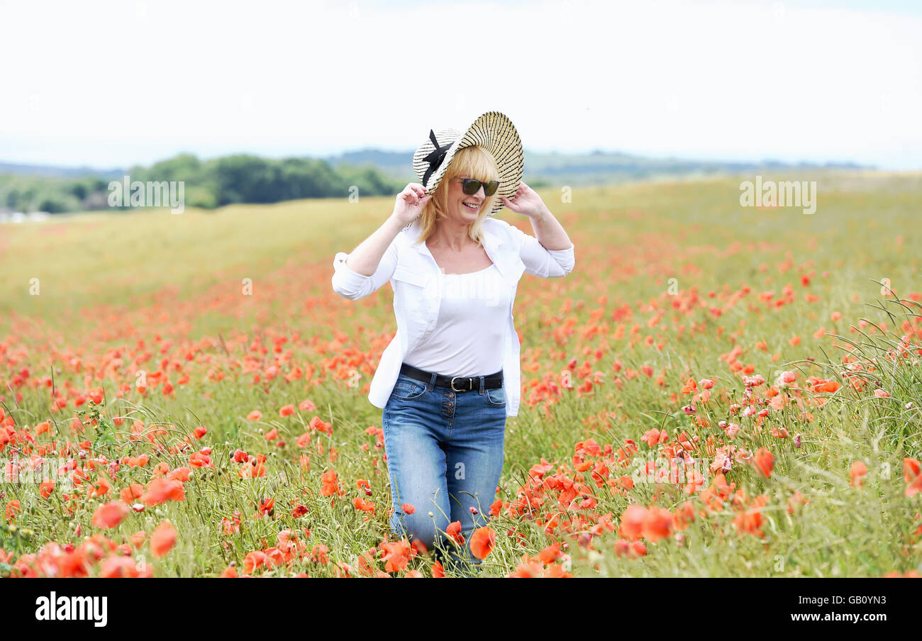 Walker in summer hat amongst poppy fields near Ditchling Beacon Sussex ...